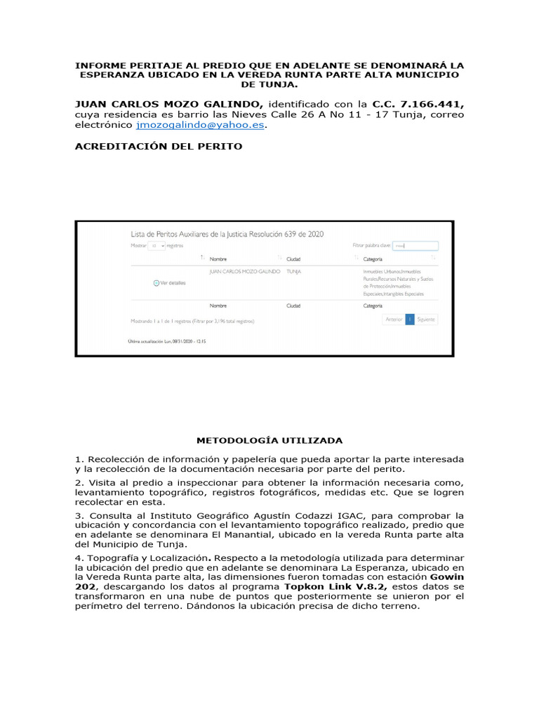Ultimo Informe Peritaje | PDF | Testigo experto