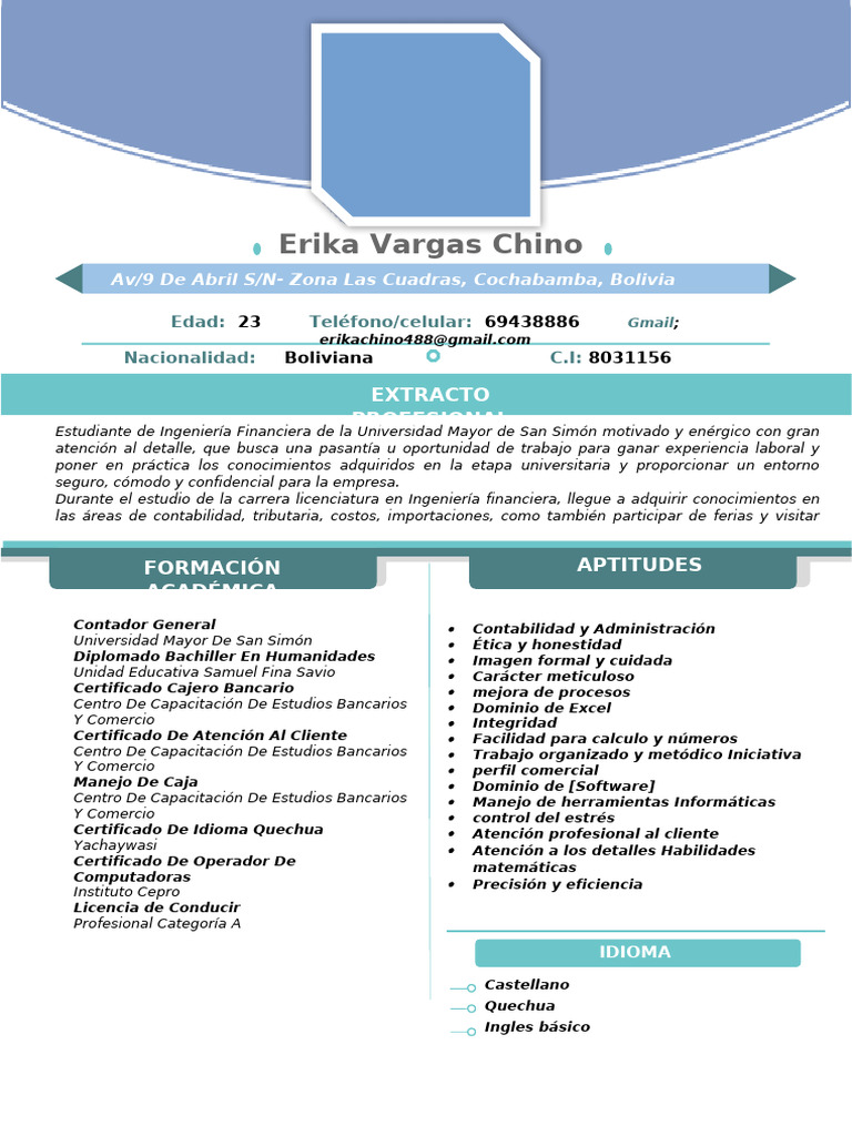 Curriculum Erika | PDF | Contador | Informática