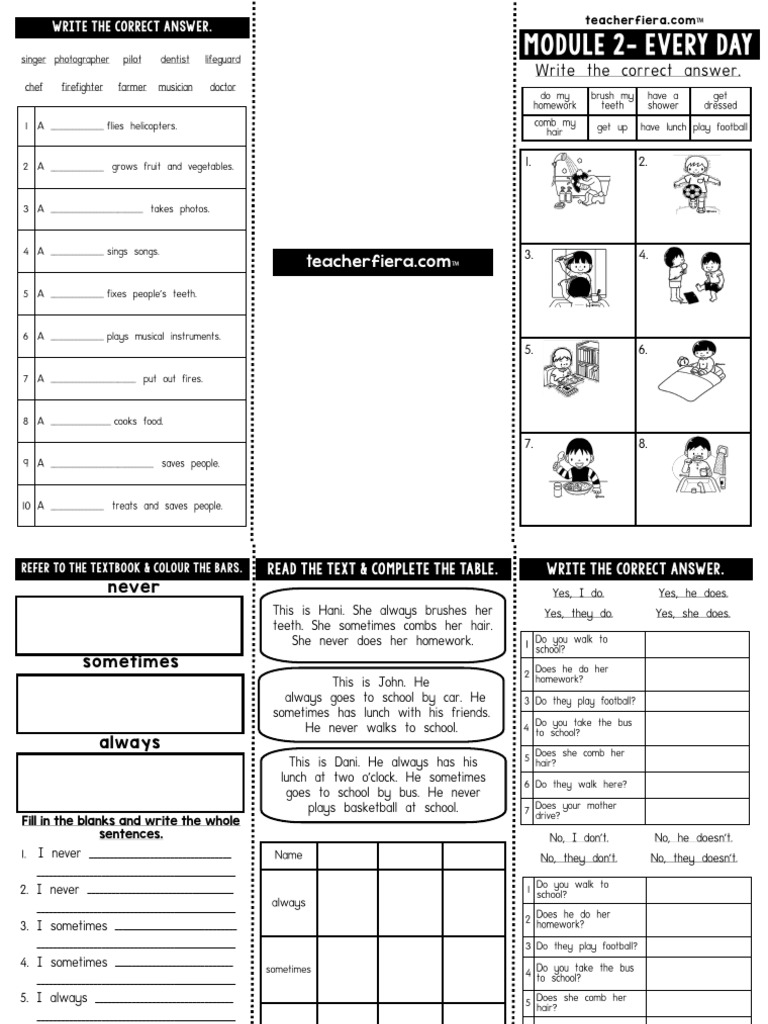 Daily Routines and Occupations Worksheet | PDF