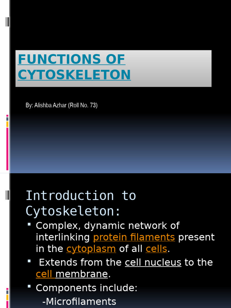 Functions of Cytoskeleton | PDF