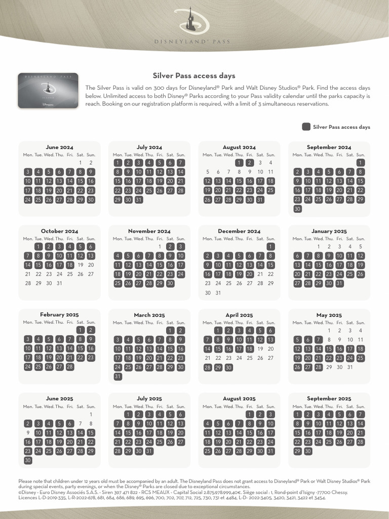 Update Calendriers de Block Out Disneyland Pass A4-SILVER UK HD FU ...