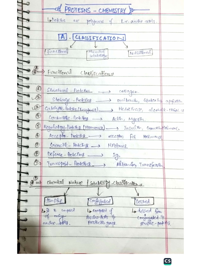 Protein Chemistry Notes (Venkat) | PDF