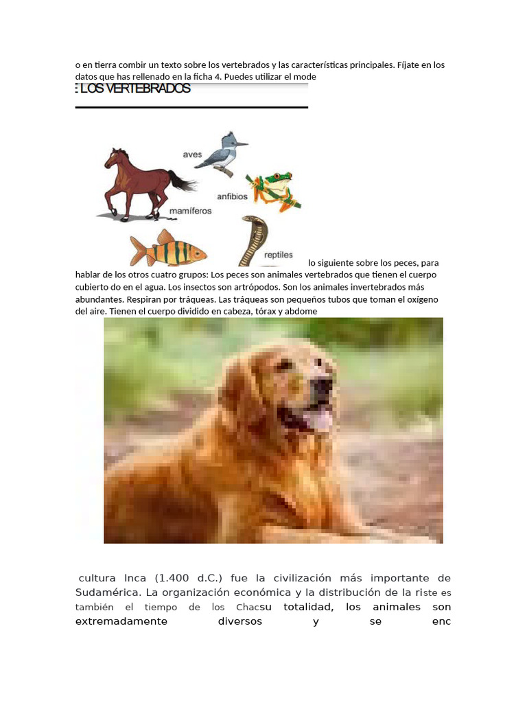 Asdads | PDF | Imperio Inca