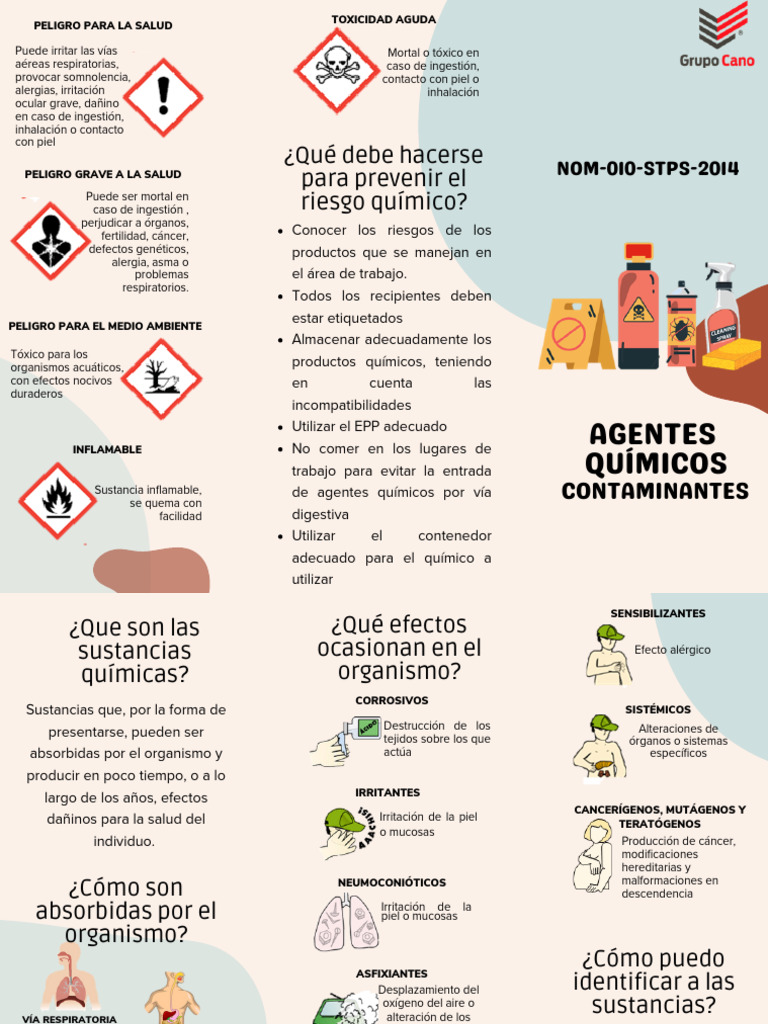 Triptico Nom-010-Stps-2014 | PDF | Especialidades Medicas