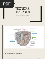 Técnicas de Otb | PDF | Anatomía