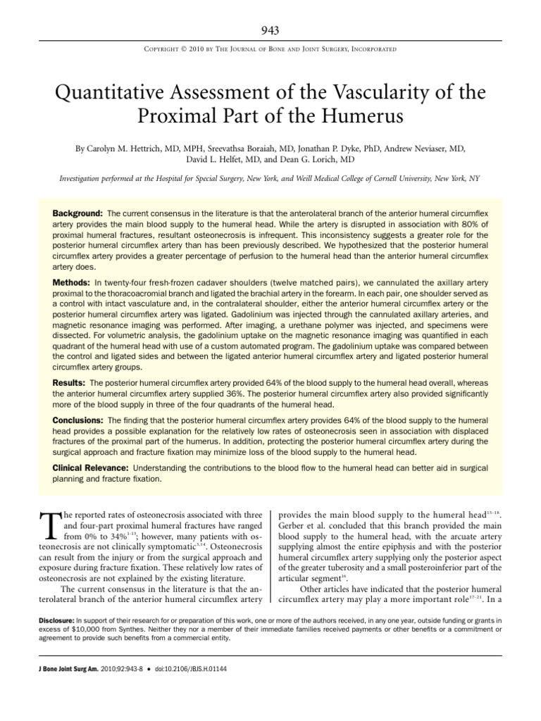 Quantitative Assessment of The Vascularity of The Proximal Part of The ...