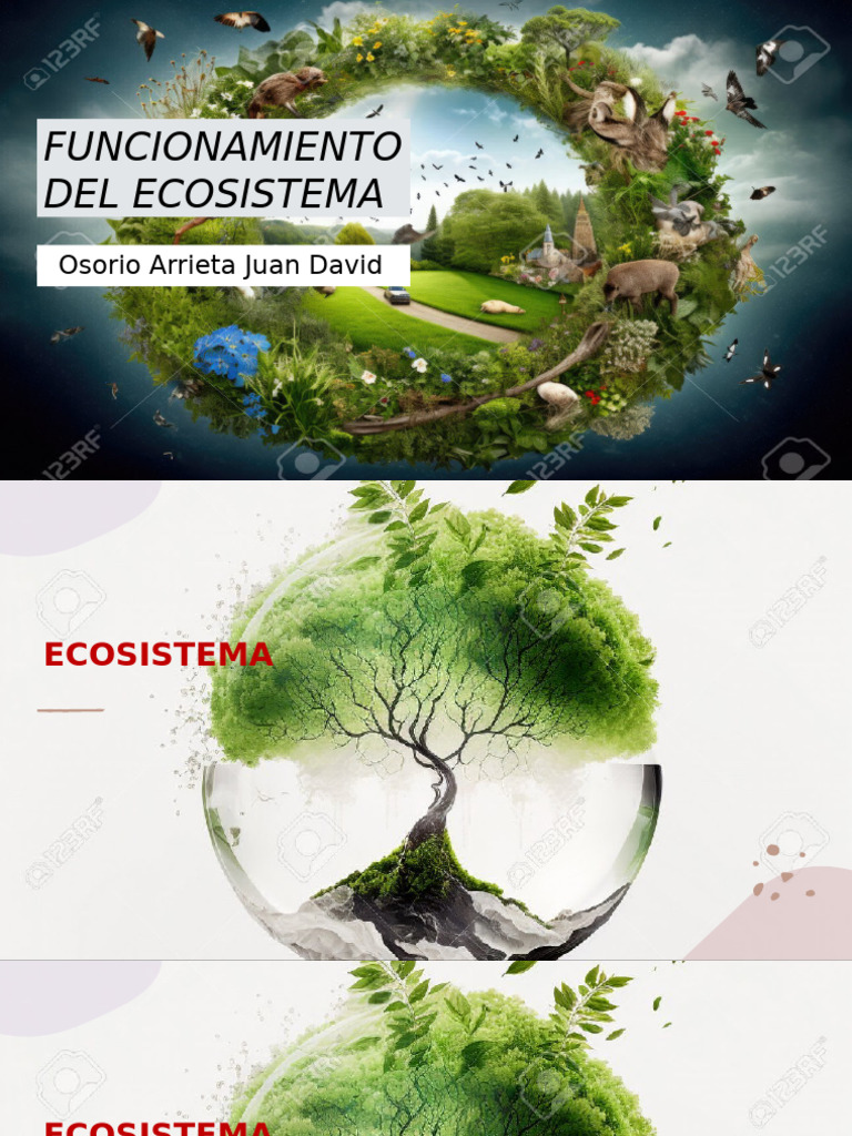 Ecozoo | PDF | Ecosistema | Naturaleza