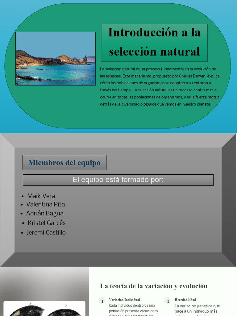 Selección Natural y Evolución Específica | PDF | Seleccion natural ...