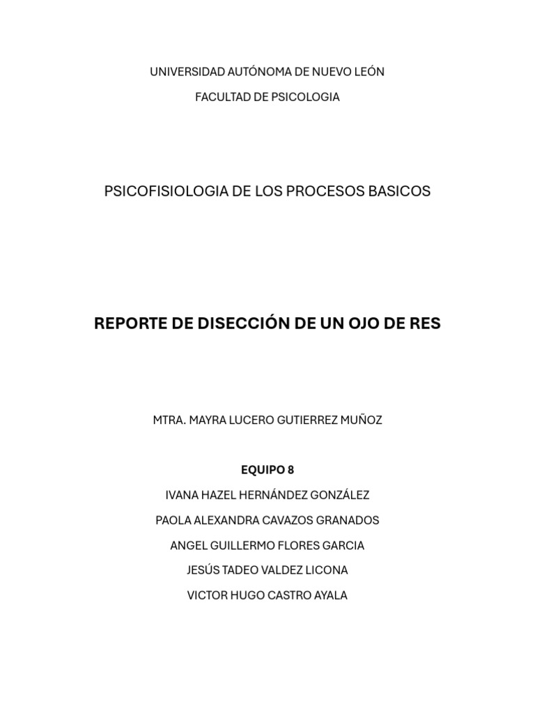 Disección de Ojo de Res: Psicofisiología Visual | PDF | Percepción ...