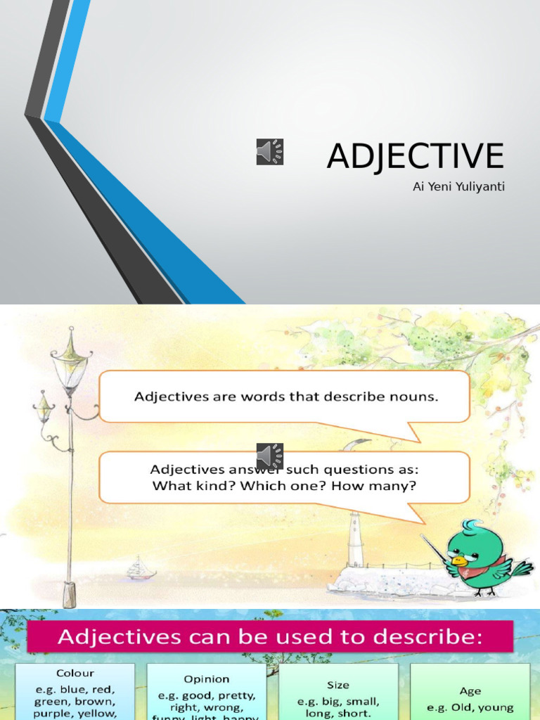 Adjective | PDF