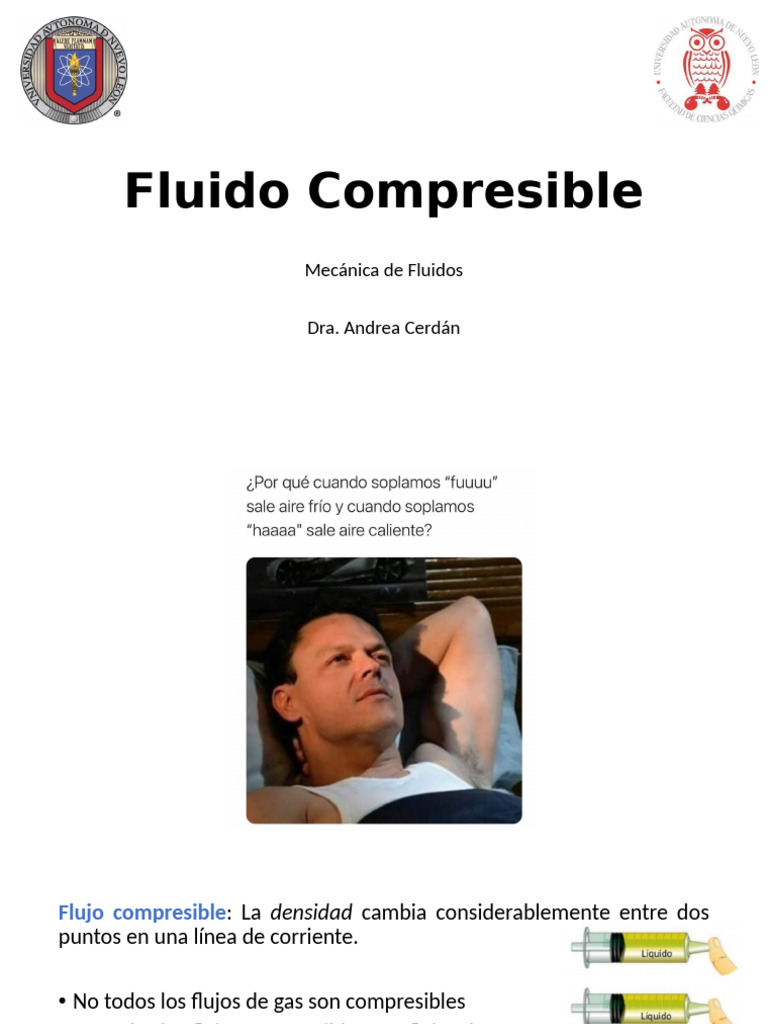 Clase 8 Flujo Compresible | PDF | Gases | Flujo compresible