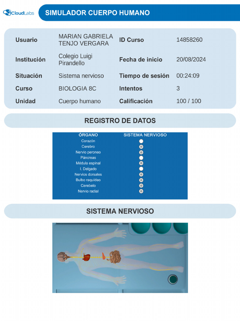 Sistema Nervioso | PDF