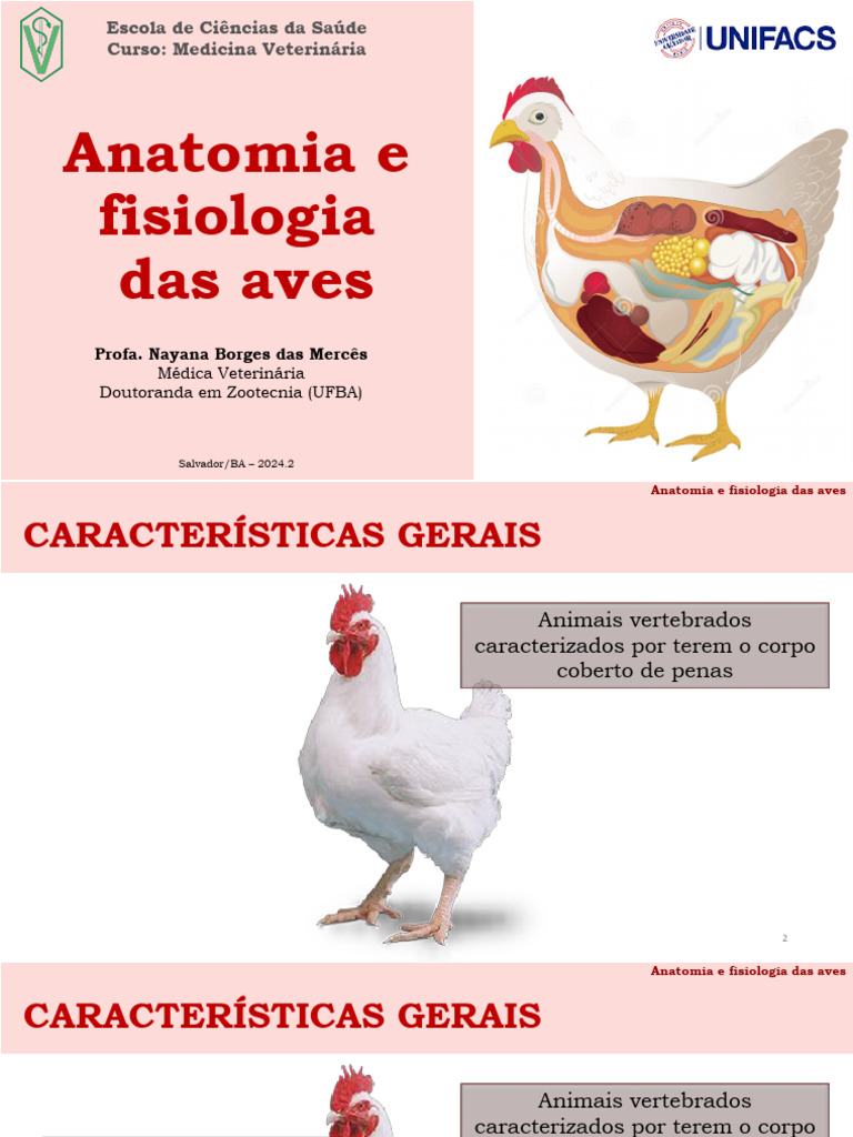 Anatomia e Fisiologia Das Aves: Escola de Ciências Da Saúde Curso: Medicina Veterinária | PDF ...