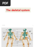Bone Markings Guide | PDF