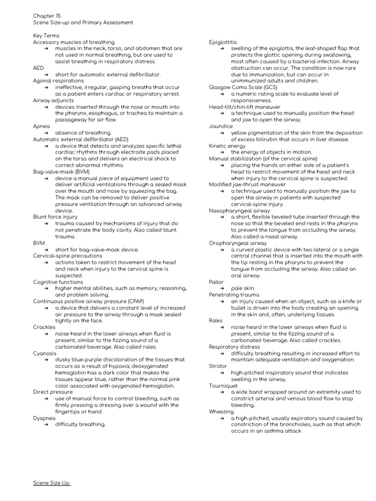 Chapter 15 Scene Size-Up and Primary Assessment | PDF | Coma | Breathing
