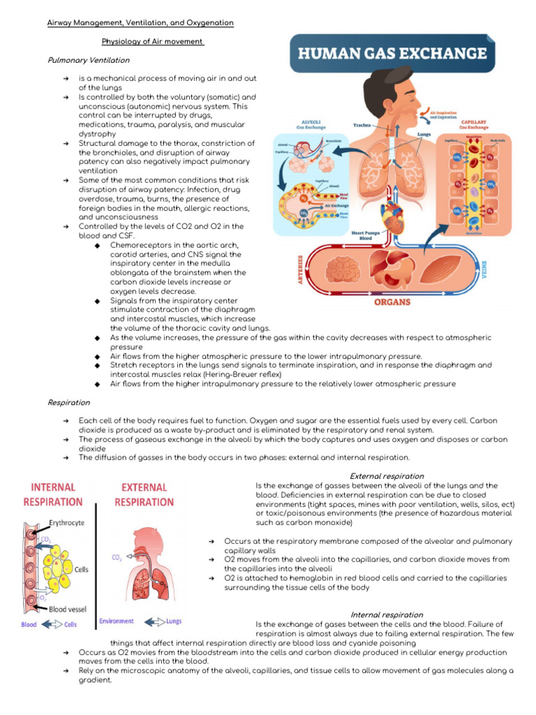 Medic Test Airway Management, Ventilation, and Oxygenation | PDF | Lung ...