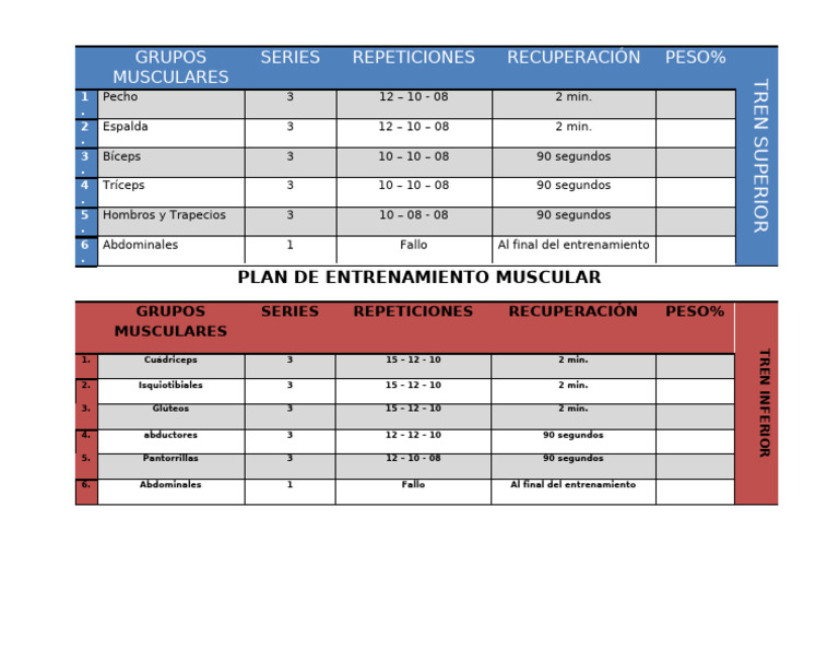 Plan Entrenamientos Muscular | PDF