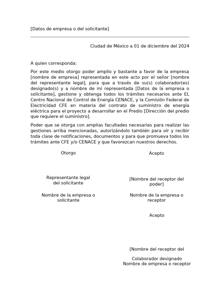 Carta Poder CFE Template | PDF