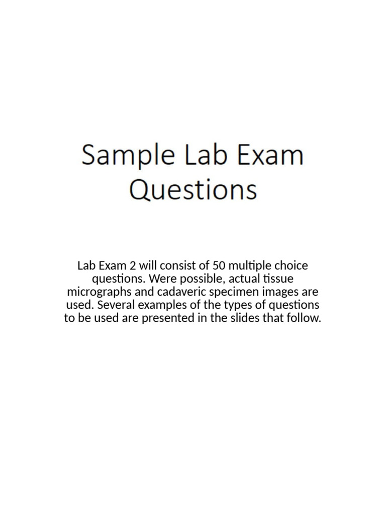Online Lab Exam 2c | PDF | Arm | Shoulder