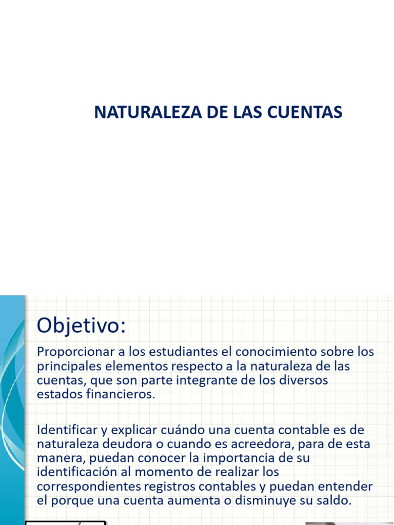 Naturaleza de las Cuentas Contables | PDF | Contabilidad | Servicios ...