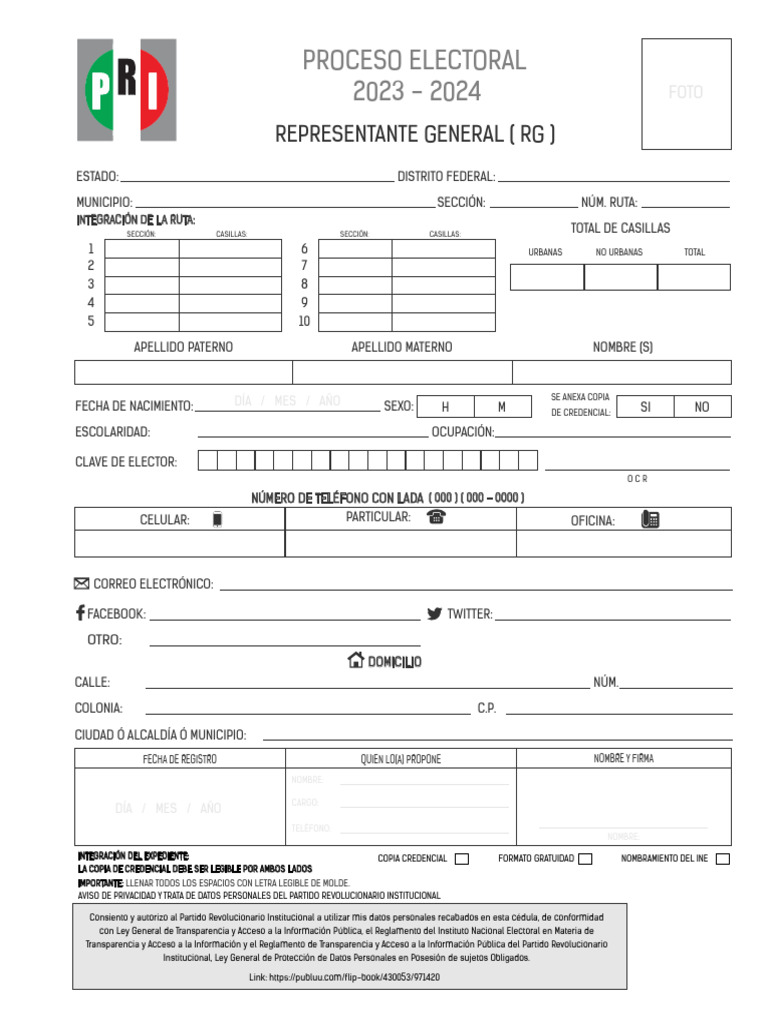 Formato RG 190324 | PDF | Gobierno