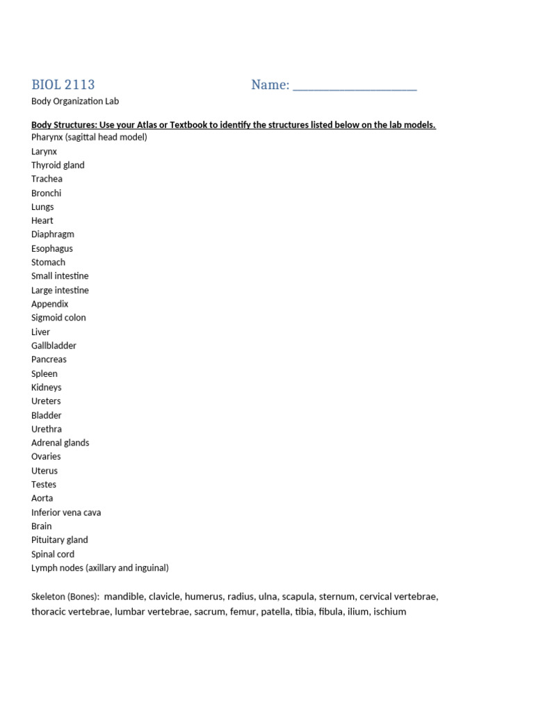 Body Organs and Regions | PDF | Human Body | Abdomen