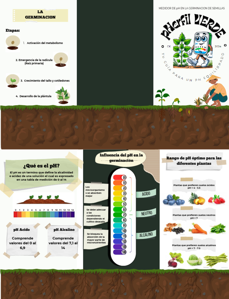 Triptico 20240906 002435 0000 | PDF