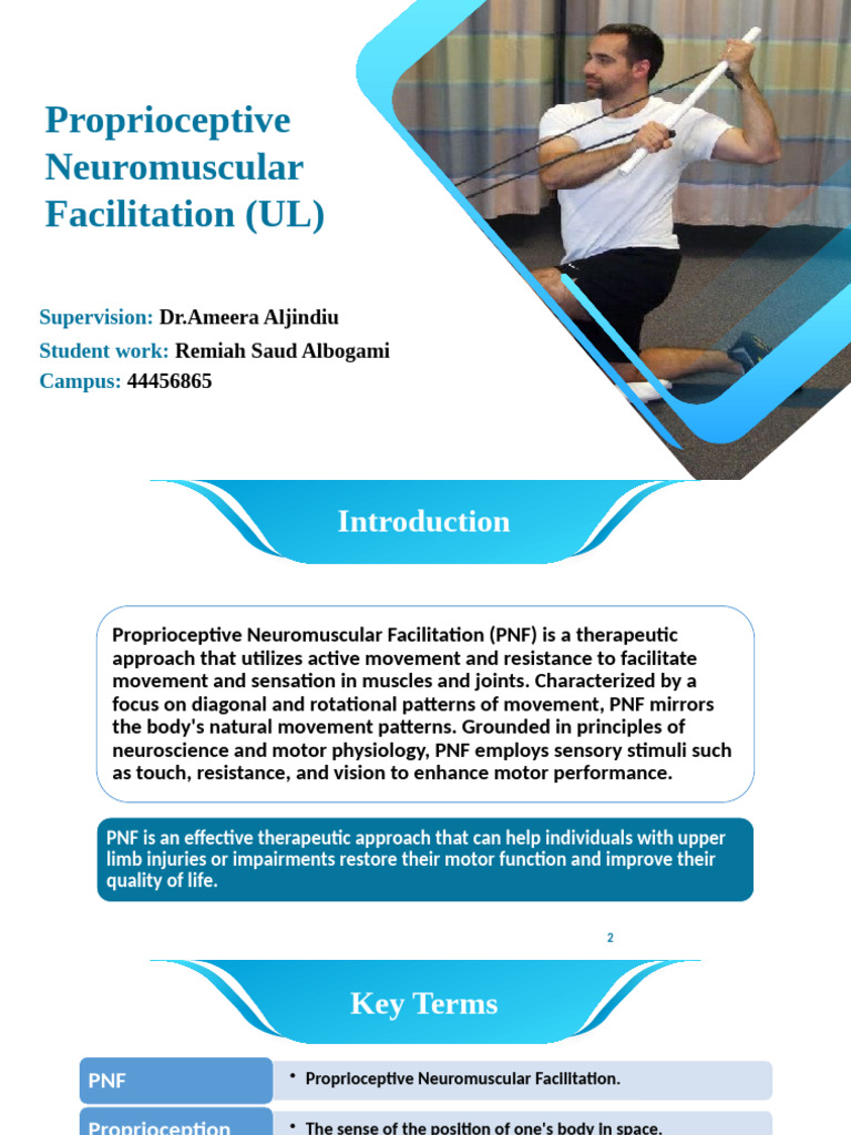 PNF (Ul) 1 | PDF | Muscle Contraction | Nervous System