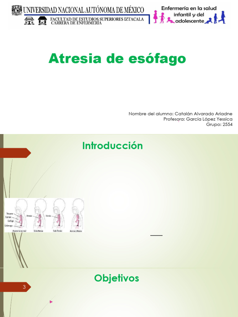 Atresia de Esófago: Diagnóstico y Tratamiento | PDF | Esófago ...