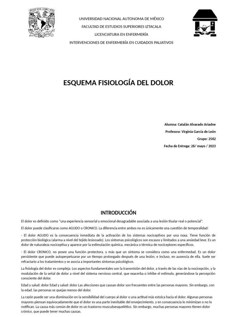 Esquema Dolor | PDF | Dolor | Causas de la muerte