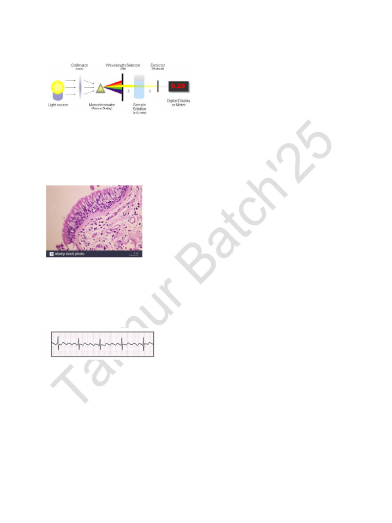 OBSERVED OSPE SHIFT 1 (Day 3 | PDF