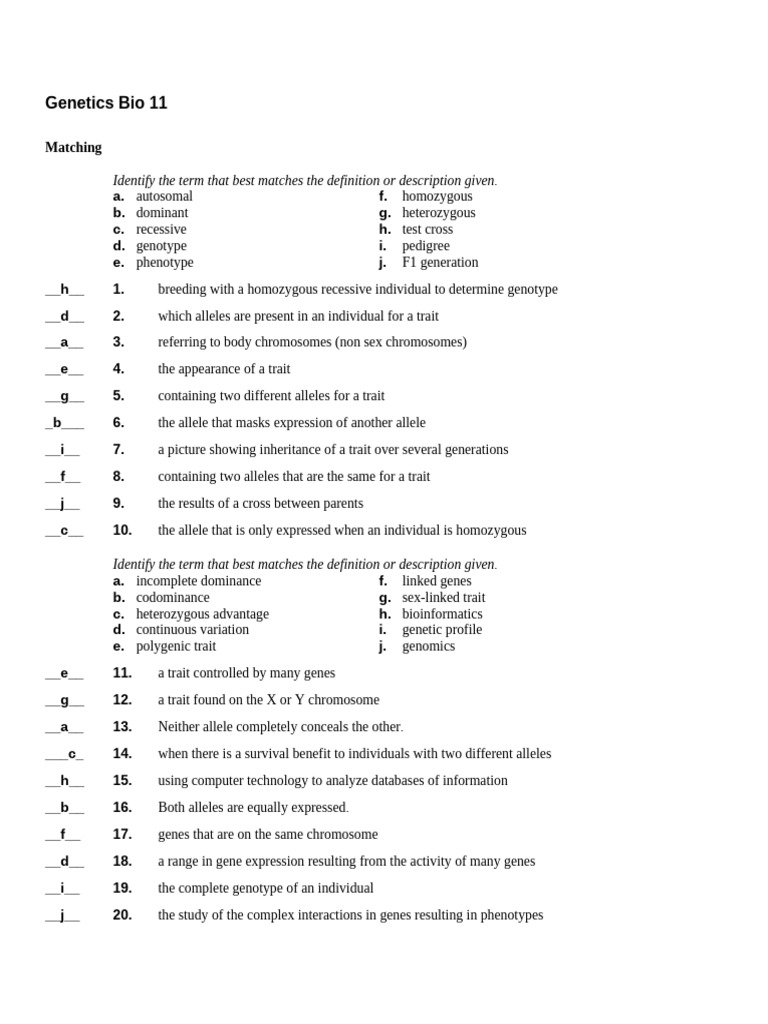 Bio 11 Genetics Questions | PDF | Dominance (Genetics) | Zygosity