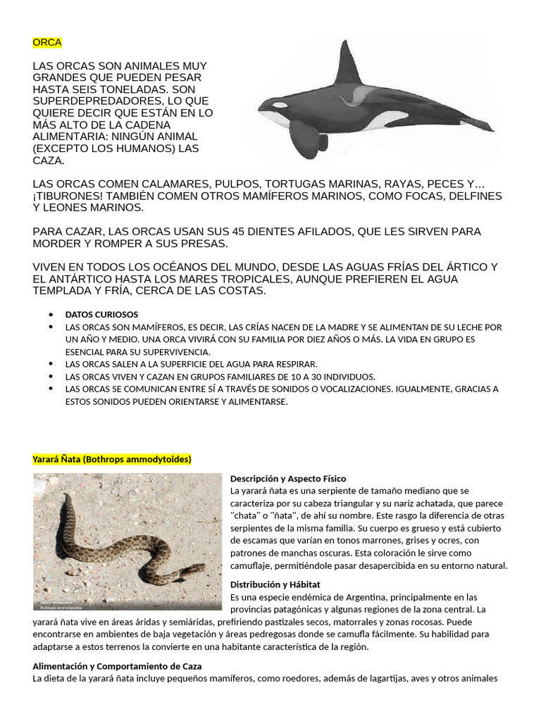 ORCA | PDF | Trucha | Trucha arcoiris