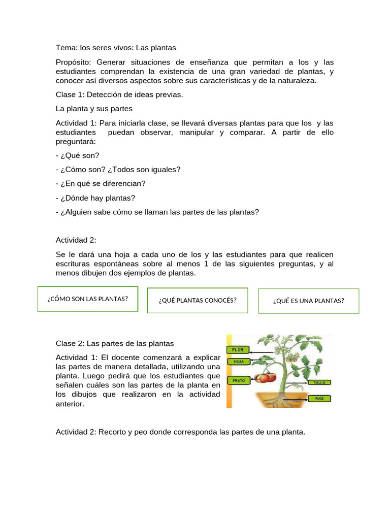 Plantas | PDF | Ciencia y matemáticas