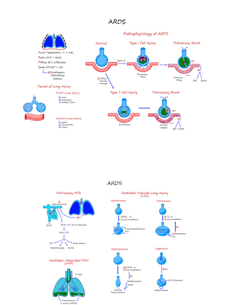 3 - ARDS (Illustrations Key) | PDF | Medical Specialties | Respiration