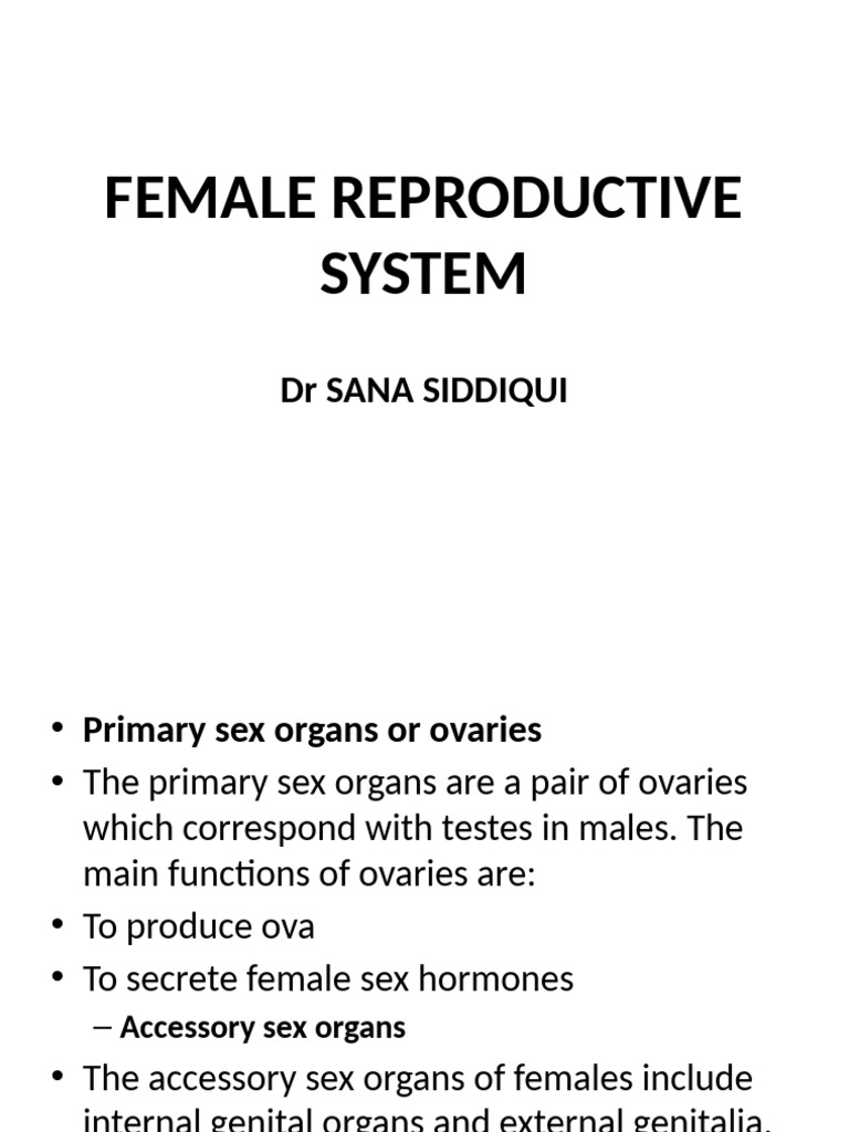 Female Rep. System | PDF | Uterus | Vagina