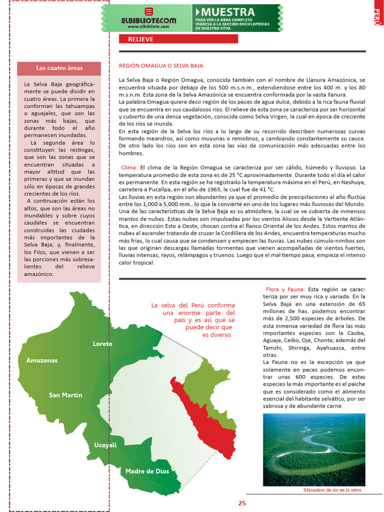 Peru Region Omagua | PDF