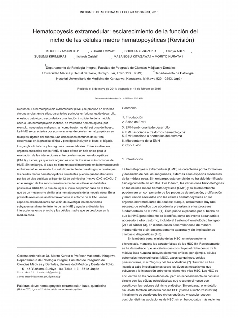 Extramedullary Hematopoiesis Elucidating The Function of The ...