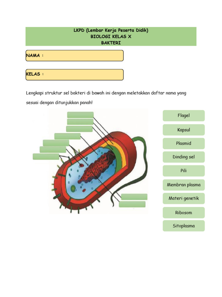 LKPD Liveworksheet | PDF