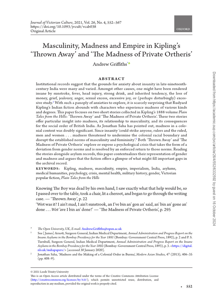 Vcab 038 | PDF | Masculinity | Insanity