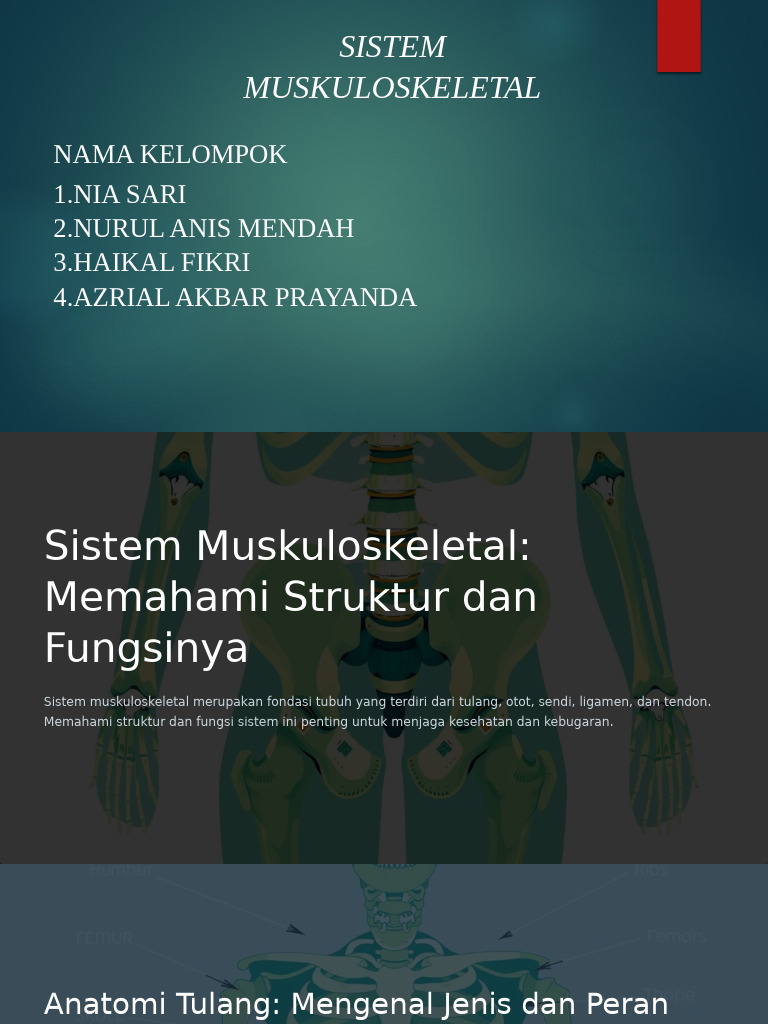Sistem Muskuloskeletal Memahami Struktur Dan Fungsinya | PDF ...