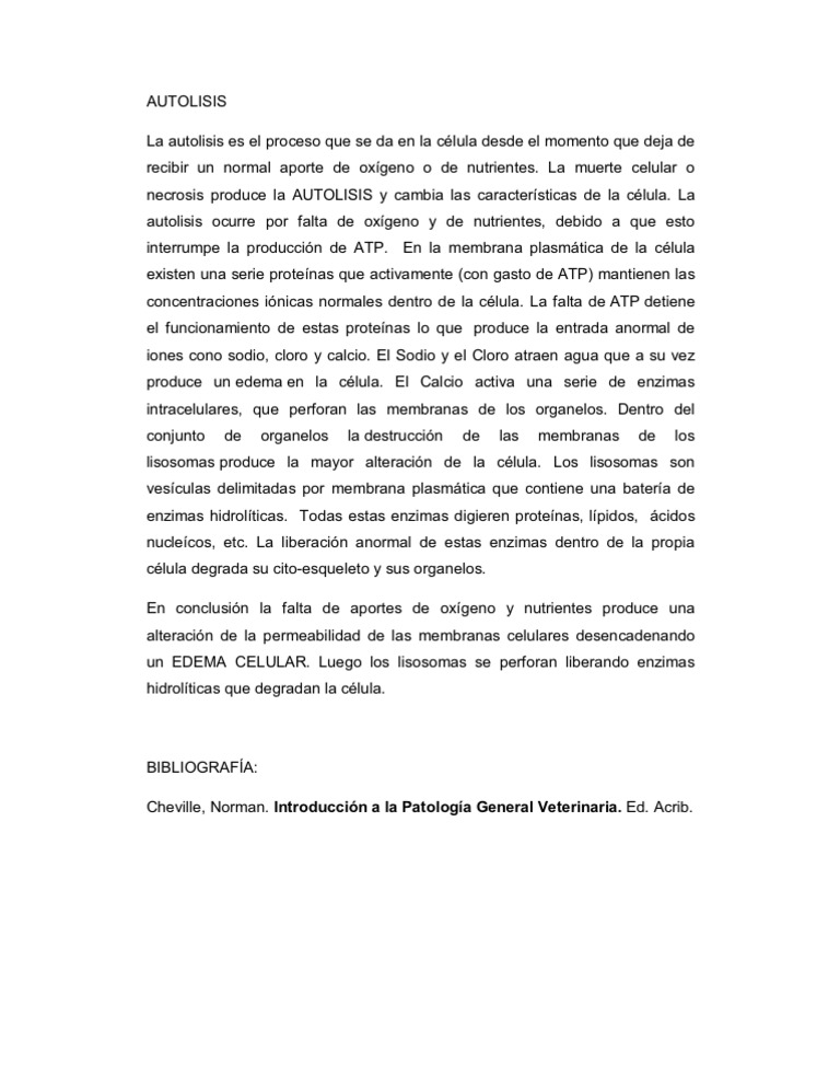 AUTOLISIS | PDF
