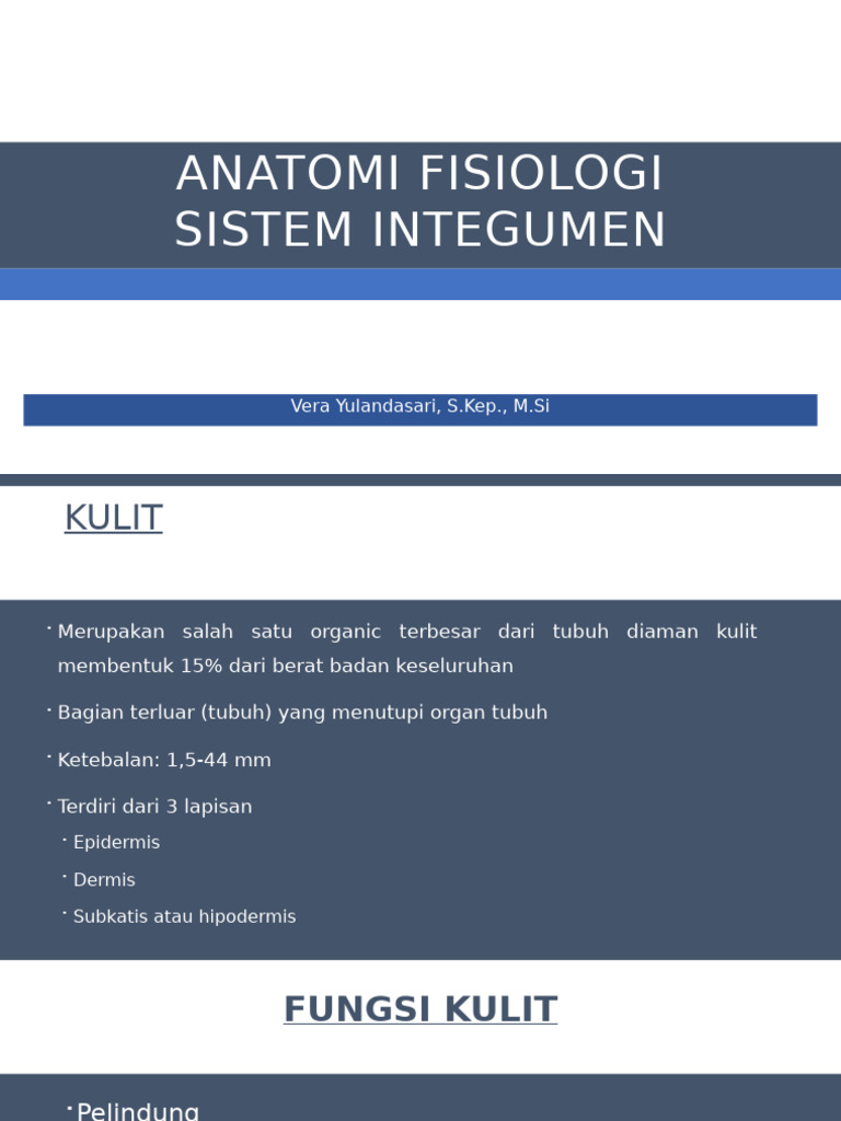 Sistem Integumen | PDF