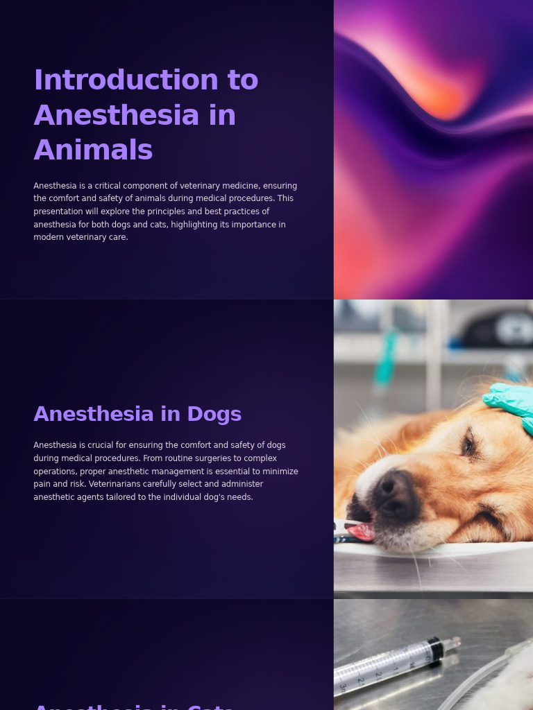 Anesthesia Best Practices for Dogs | PDF | Anesthesia | Health Care