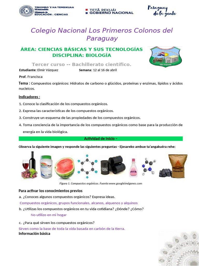 Compuesto Organico - Elmir - 3° Curso | PDF | Compuestos orgánicos | Lípido