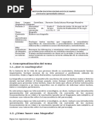Estructura y partes de una biografía | PDF | Biografía | Narrativa