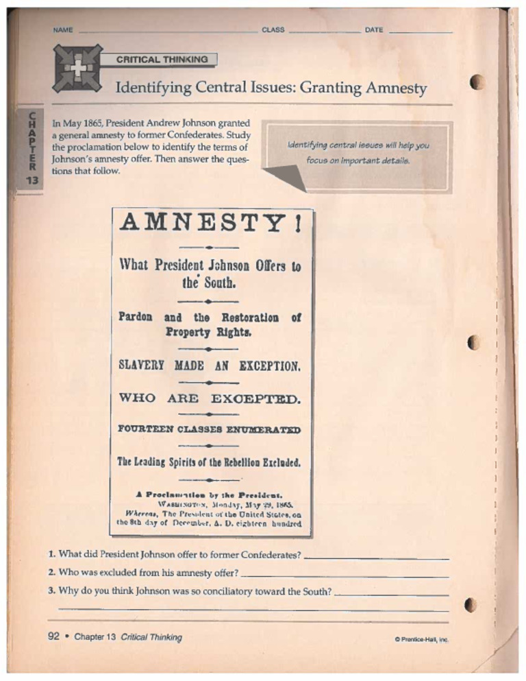 Identifying Central Issues-Granting Amnesty | PDF