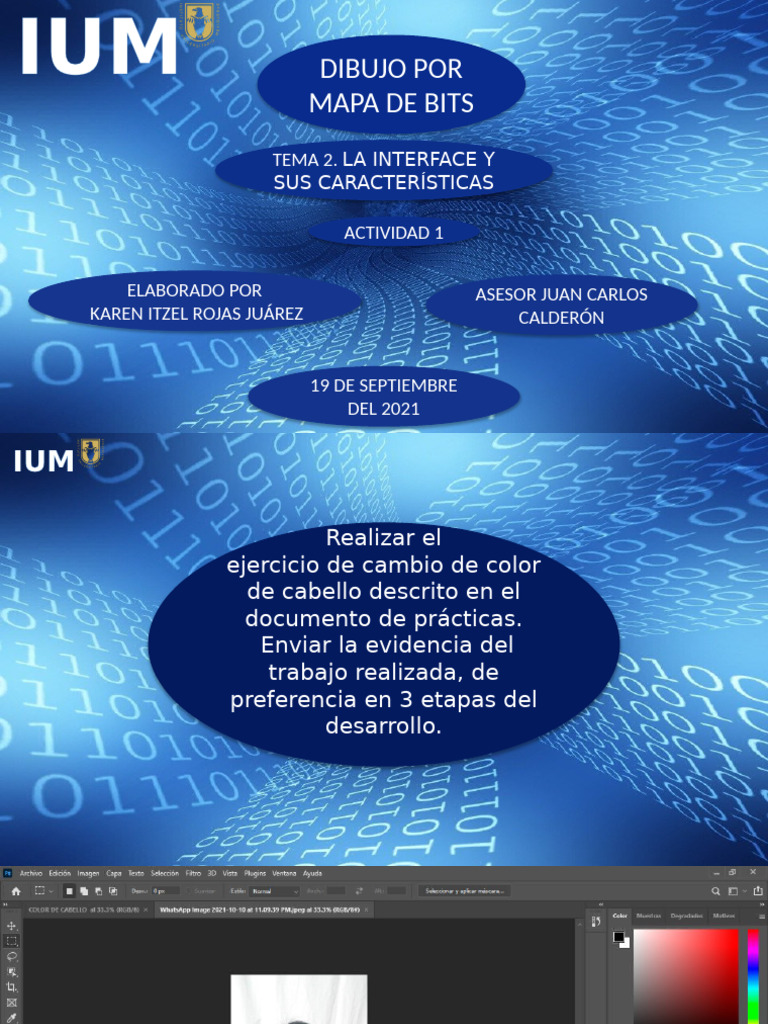 Tema 2 Actividad 1 La Interface y Sus Caracteristicas | PDF