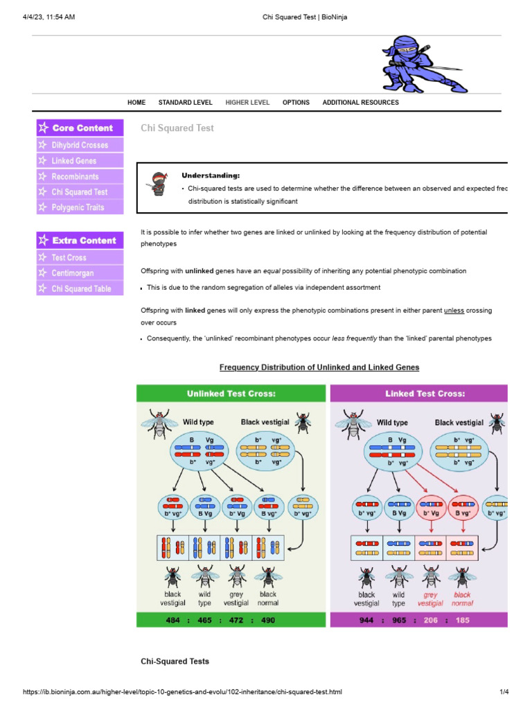 Chi Squared Test - BioNinja | PDF | Chi Squared Test | Genetic Linkage