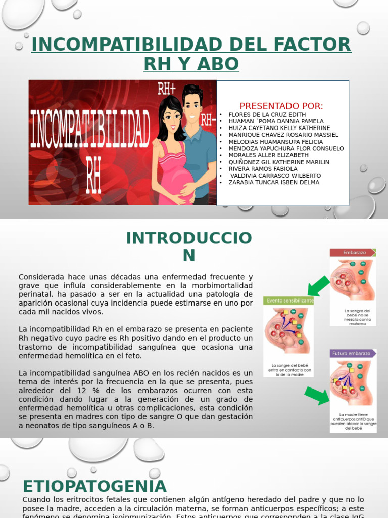 Incompatibilidad Del Factor RH Expo | PDF | Vertebrados | Salud maternal